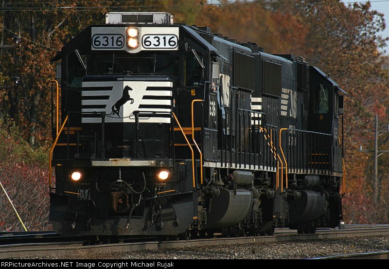 NS 6316